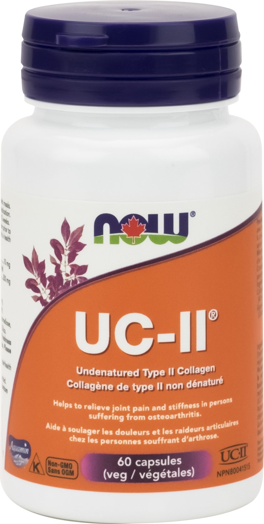 Get UC II Undenatured Collagen | Vitasave Canada